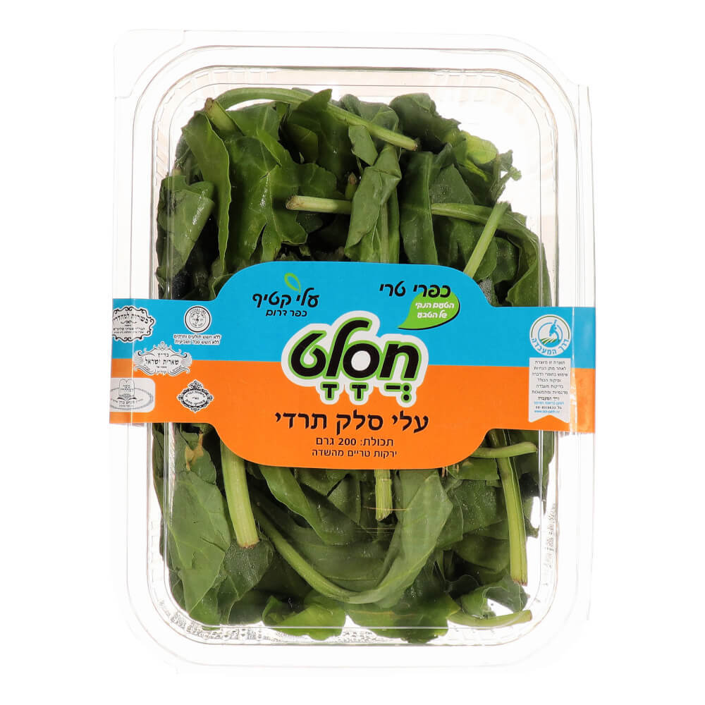 כרמל – שיווק ההר