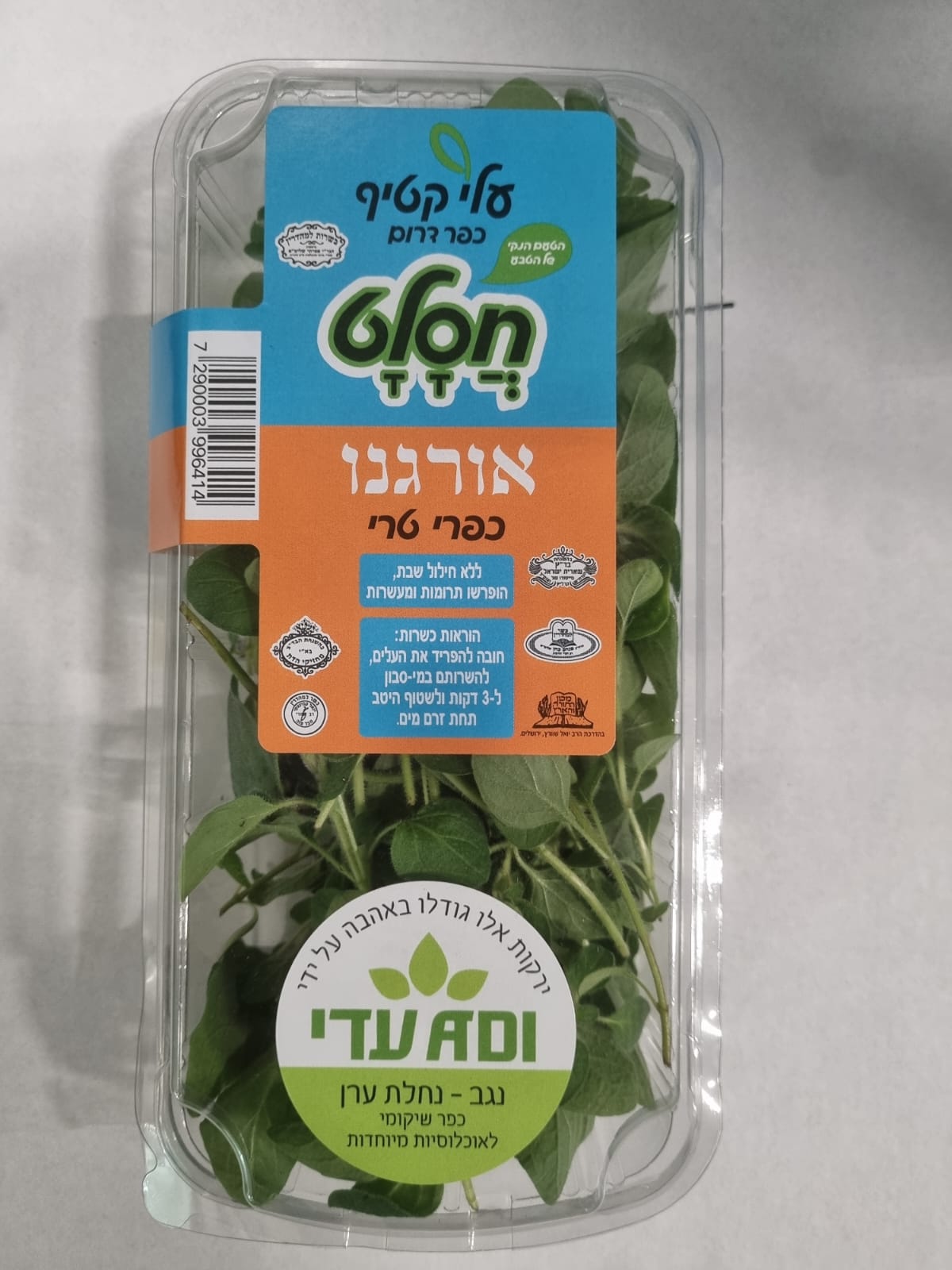 כרמל – שיווק ההר