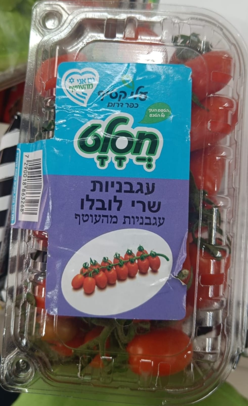 עגבניות שרי – שיווק ההר